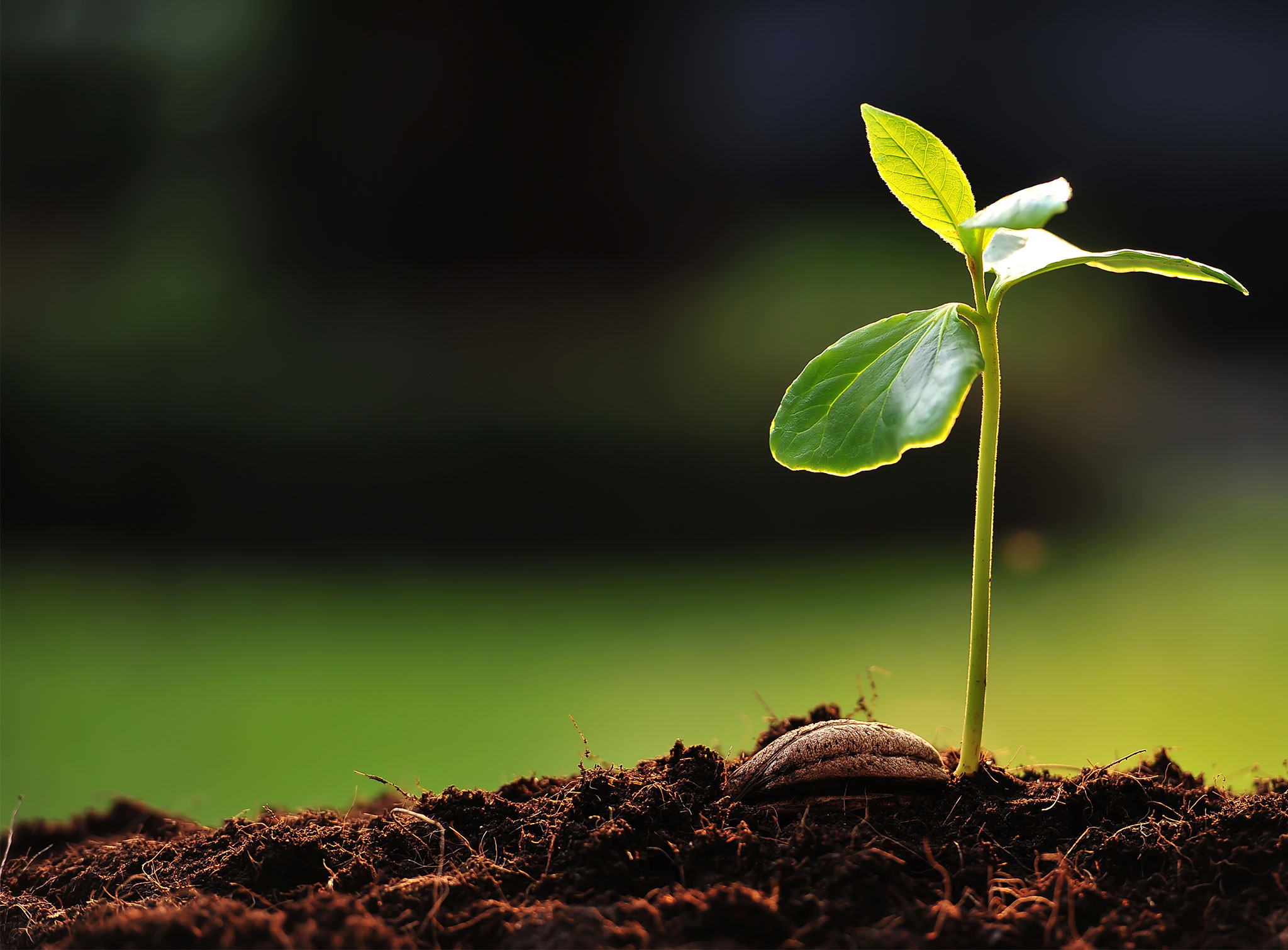 The Boxon Business Concept - Profitable Packaging Solutions