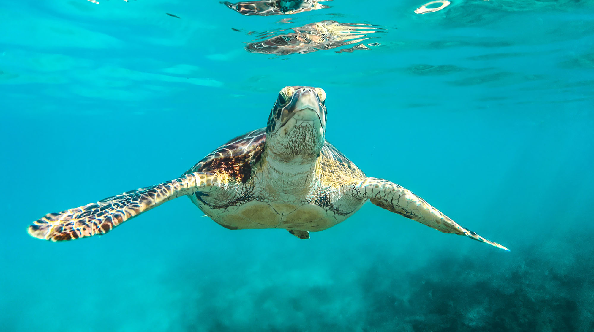 Boxon Launches R-PET Bulk Bags Made from PET Bottles - Boxon (Shanghai ...