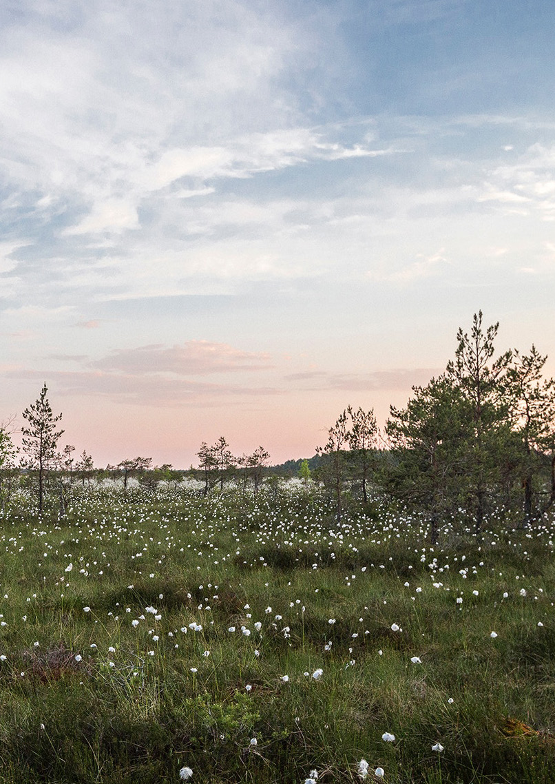 Boxon Group Release Sustainability Report 2021 - Boxon (Shanghai) Packaging